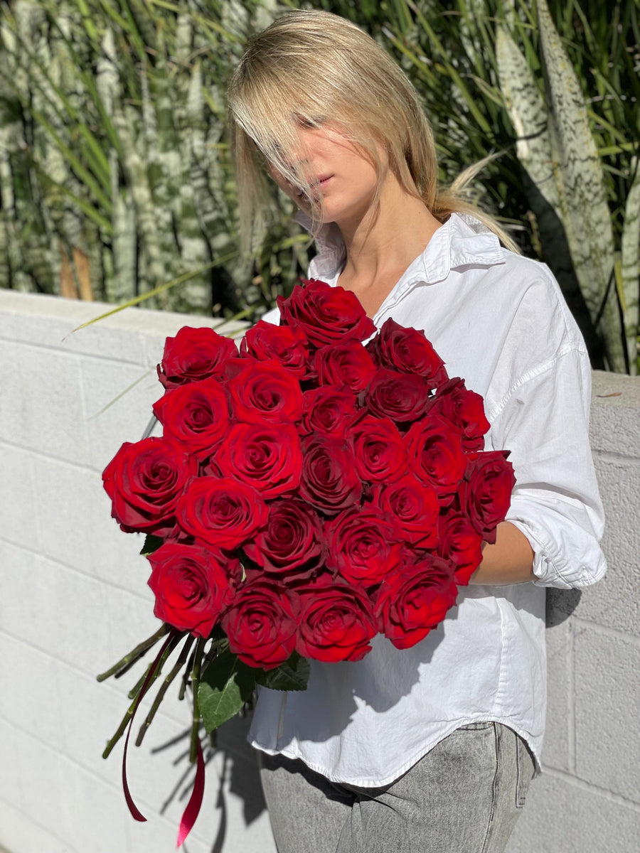 25 gorgeous red roses – Mercury Flowers